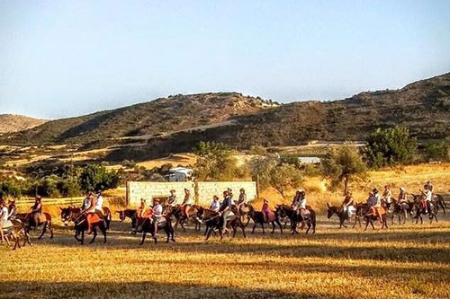 ΤΑΧΥΔΡΟΜΙΚΟ ΠΡΑΚΤΟΡΕΙΟ ΣΚΑΡΙΝΟΥ